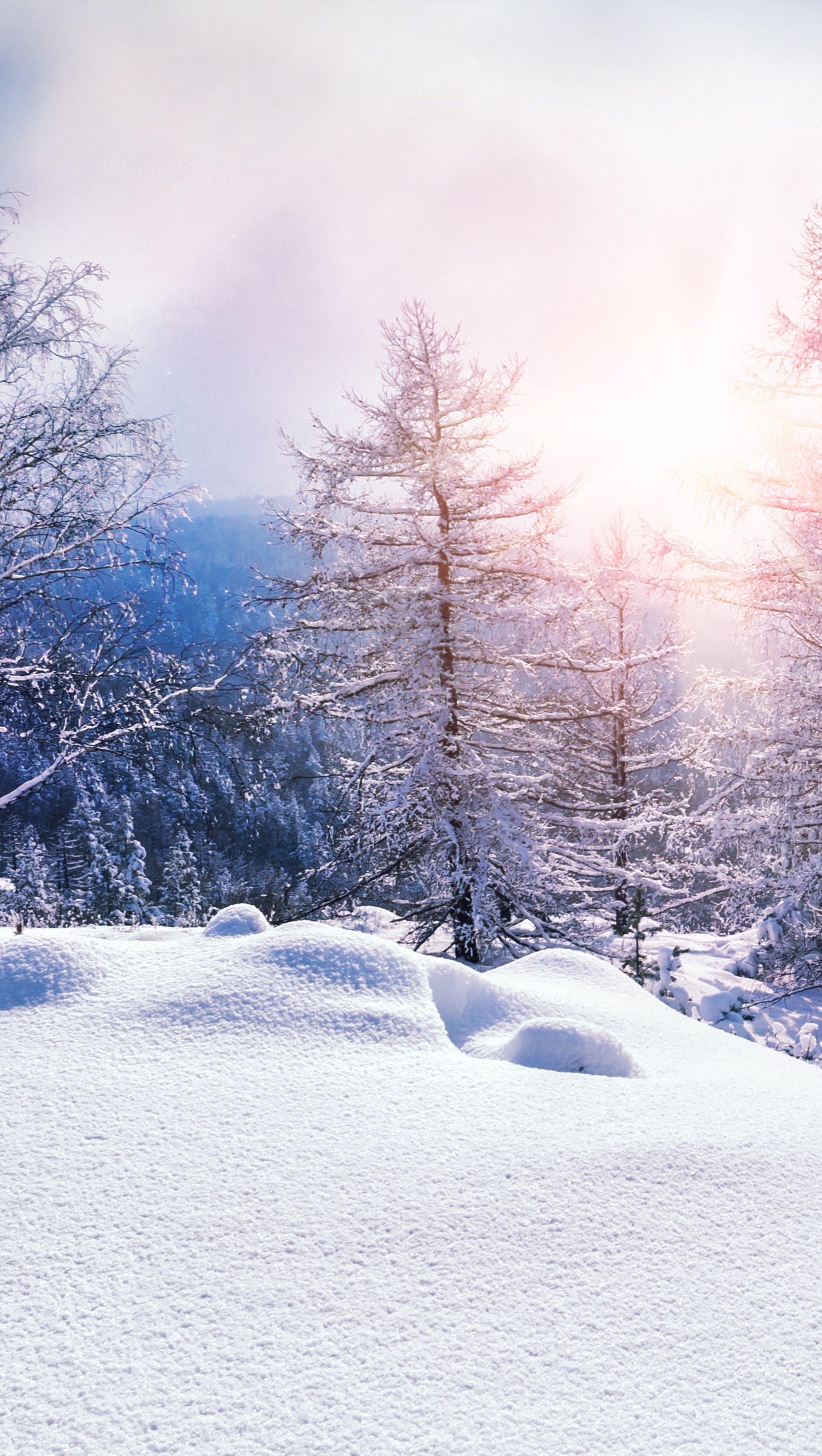 Snow 8k Wallpapers - Top Free Snow 8k Backgrounds - WallpaperAccess
