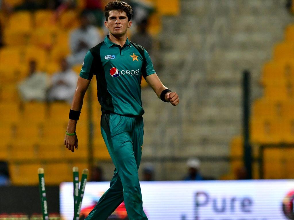 Shaheen Afridi Wallpapers - Top Free Shaheen Afridi Backgrounds ...
