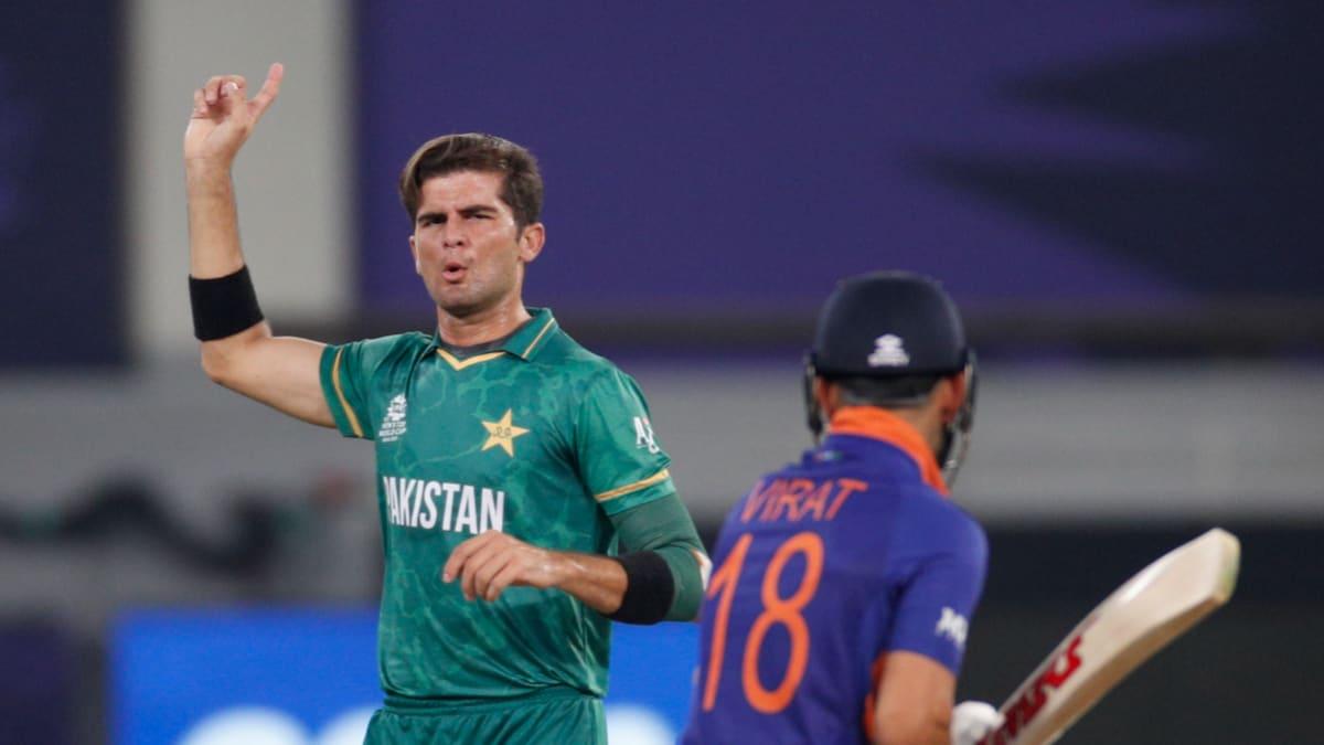 Shaheen Afridi Wallpapers - Top Free Shaheen Afridi Backgrounds ...