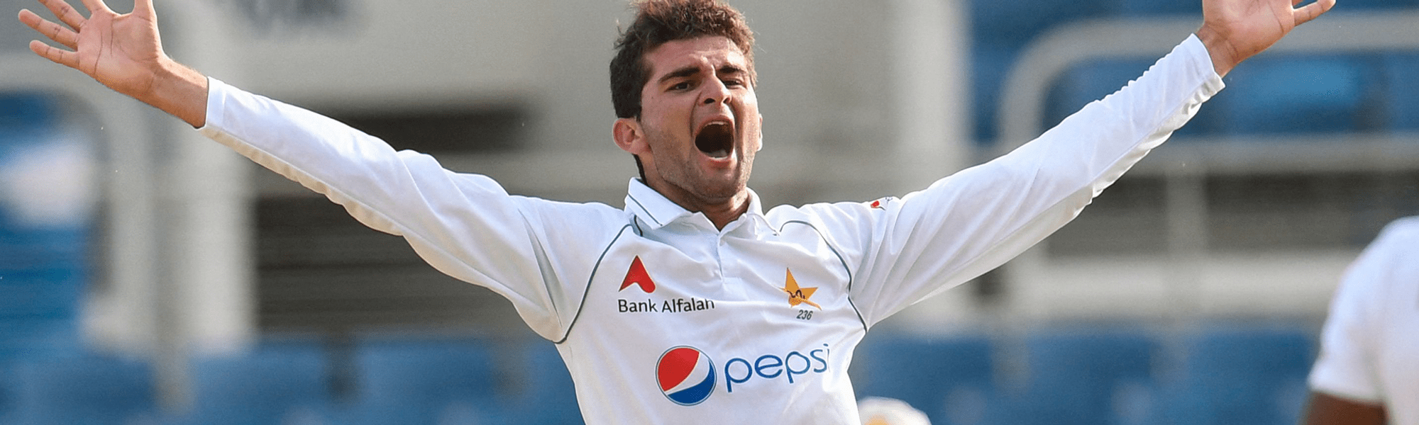 Shaheen Afridi Wallpapers - Top Free Shaheen Afridi Backgrounds ...