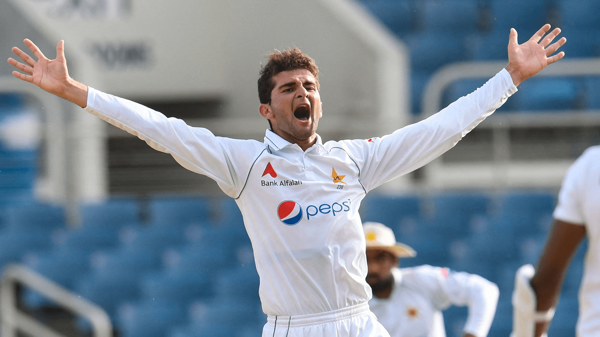 Shaheen Afridi Wallpapers - Top Free Shaheen Afridi Backgrounds ...