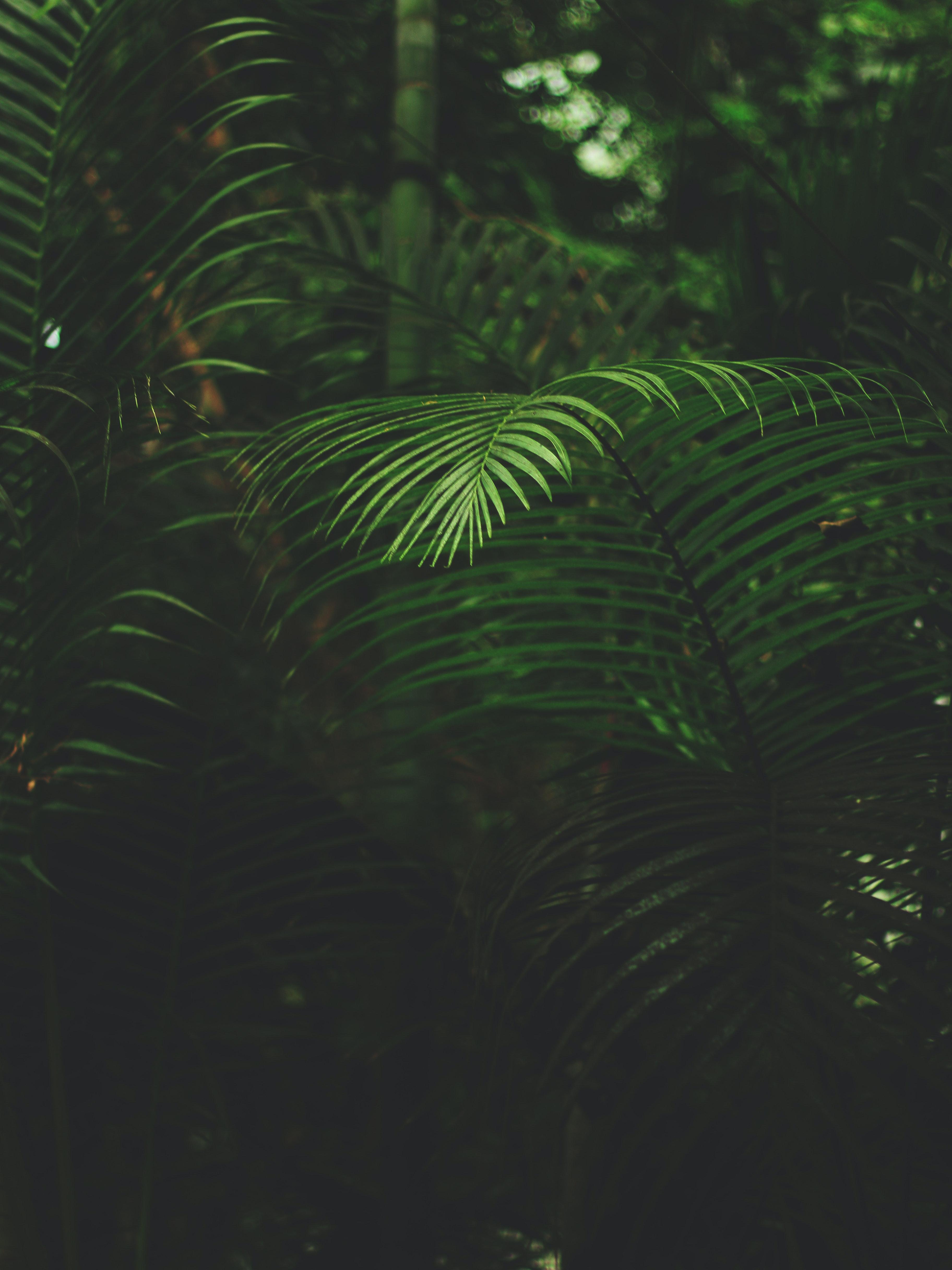 iPhone Basic Wallpapers - Top Free iPhone Basic Backgrounds ...