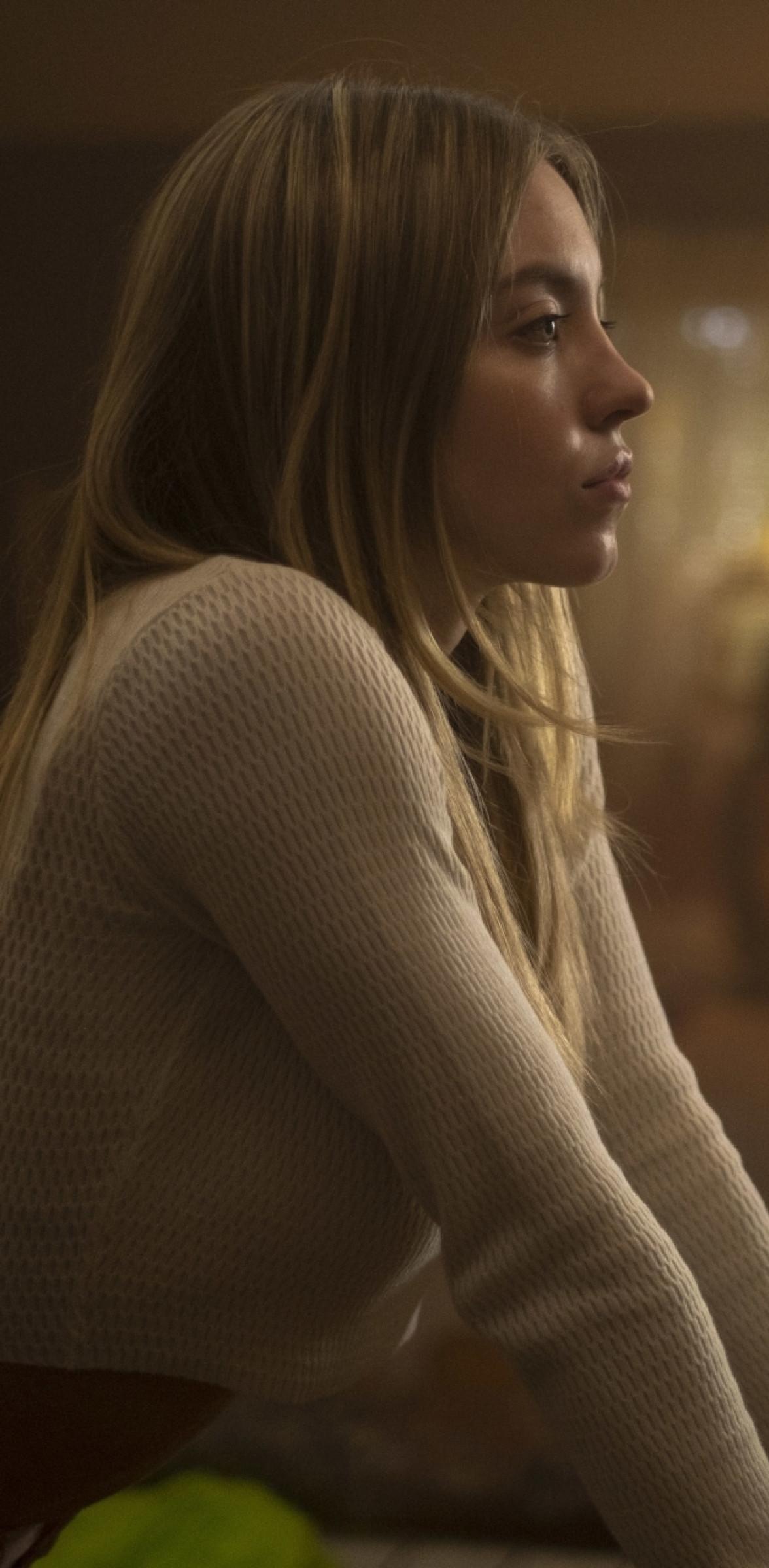 Cassie Euphoria Wallpapers - Top Free Cassie Euphoria Backgrounds - WallpaperAccess