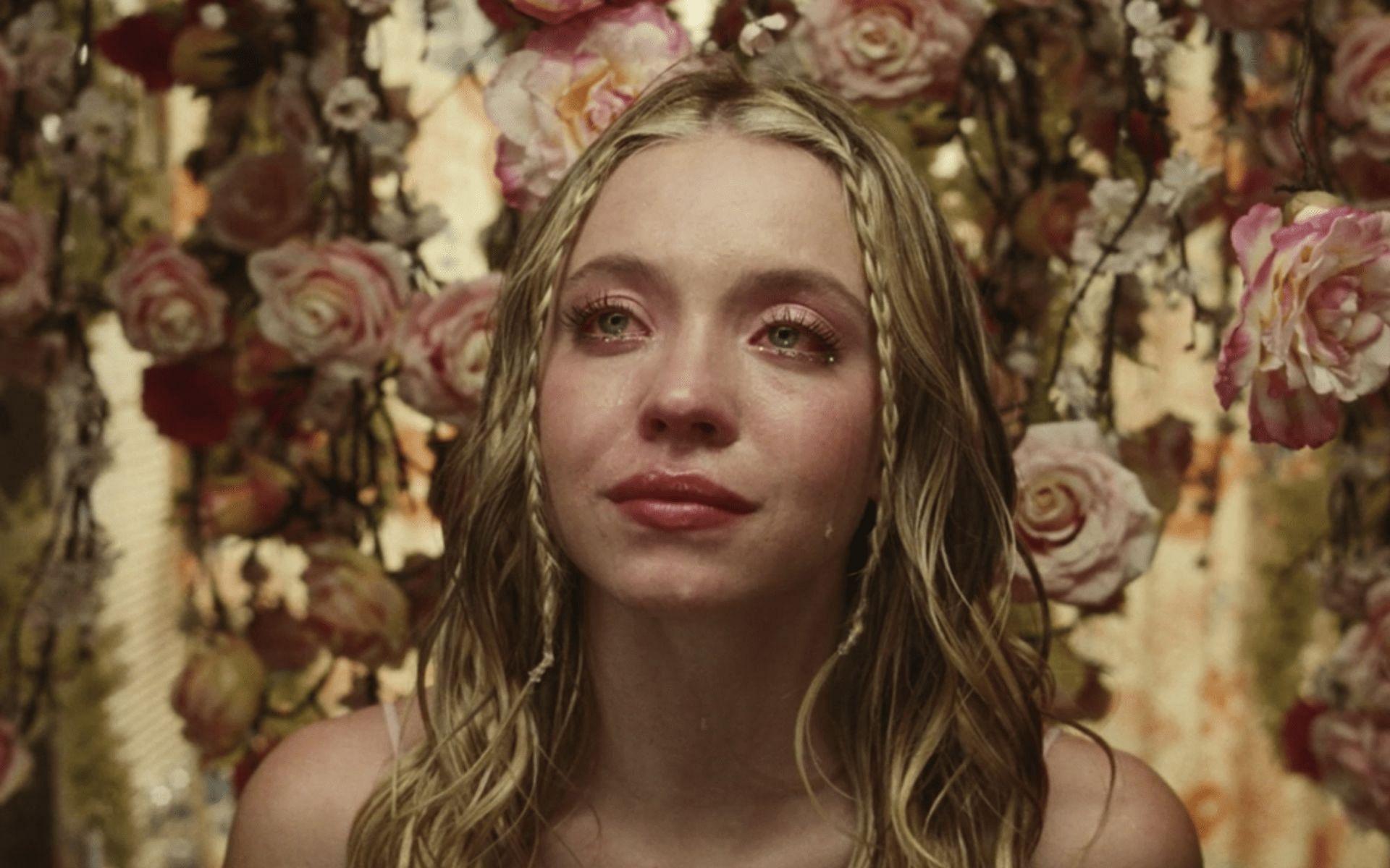 Cassie Euphoria Wallpapers - Top Free Cassie Euphoria Backgrounds - WallpaperAccess