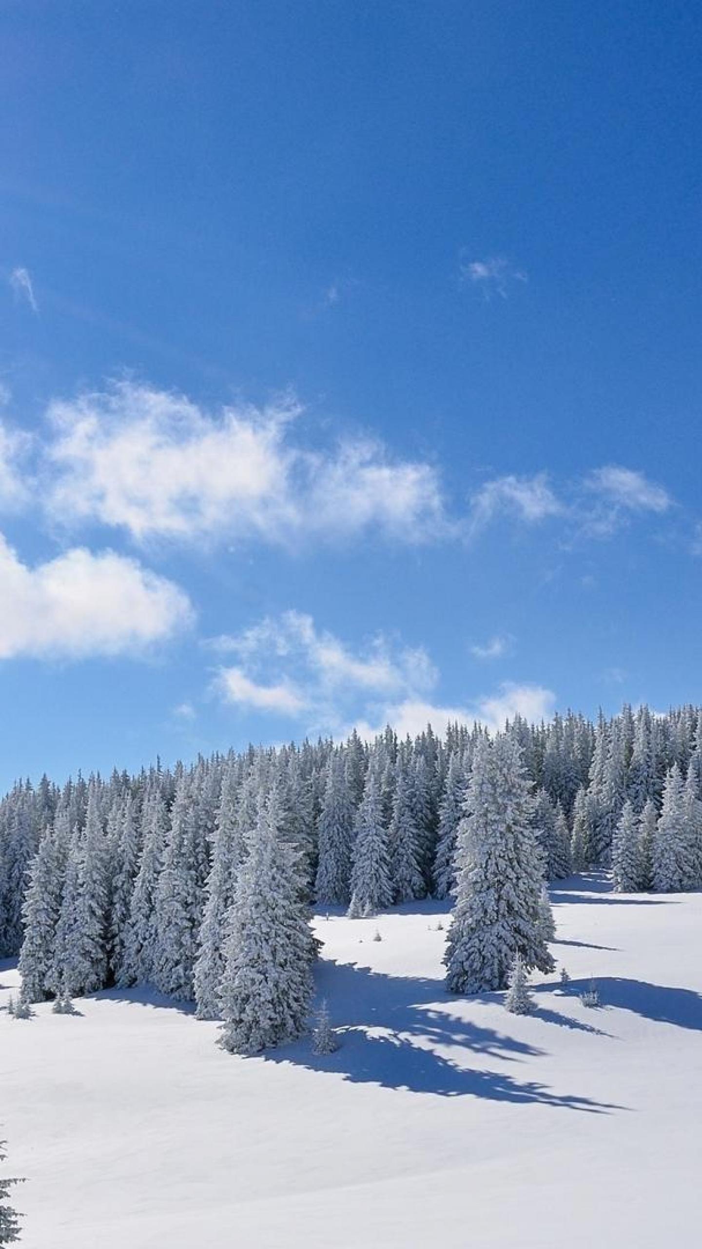 Winter Pixel Wallpapers - Top Free Winter Pixel Backgrounds ...