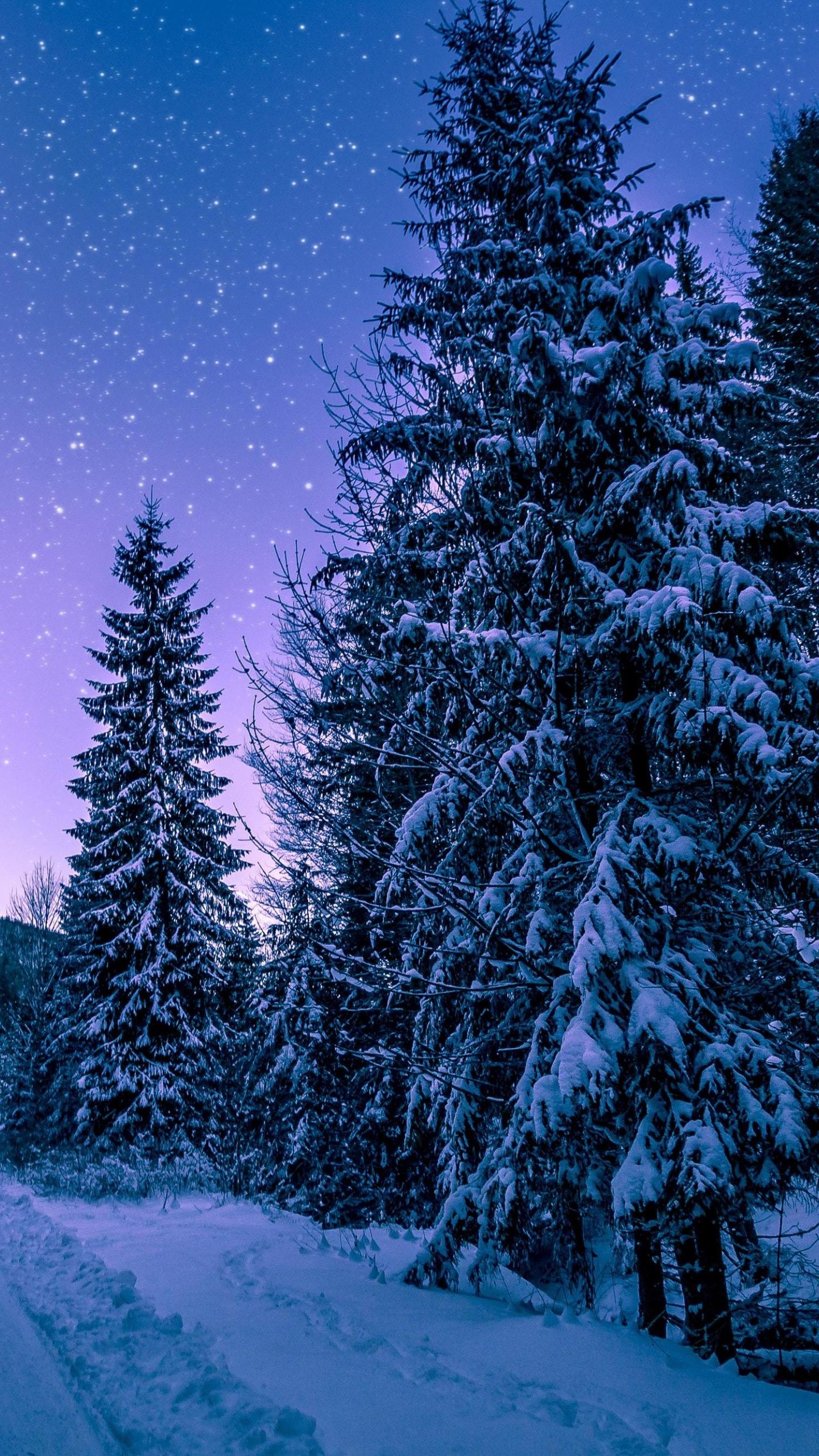 Winter Pixel Wallpapers - Top Free Winter Pixel Backgrounds ...