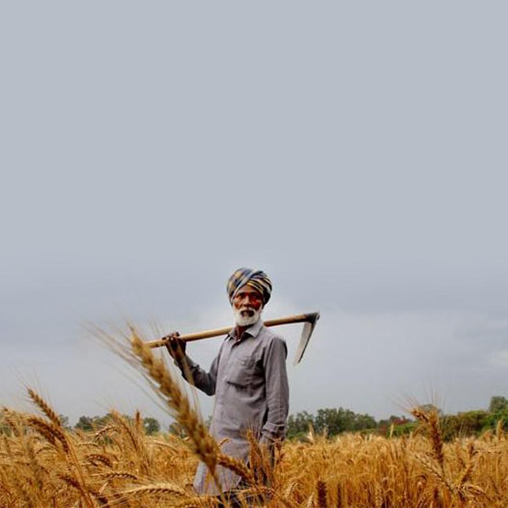 Kisan Wallpapers - Top Free Kisan Backgrounds - WallpaperAccess