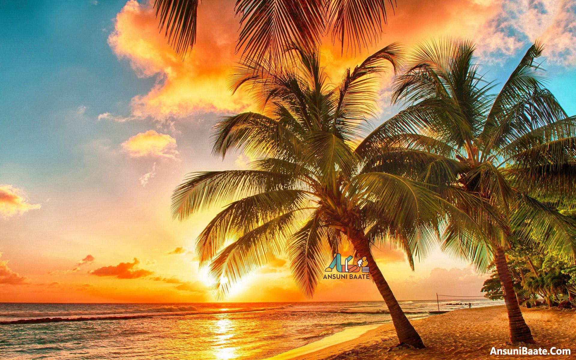 Morning Scenery Wallpapers - Top Free Morning Scenery Backgrounds ...