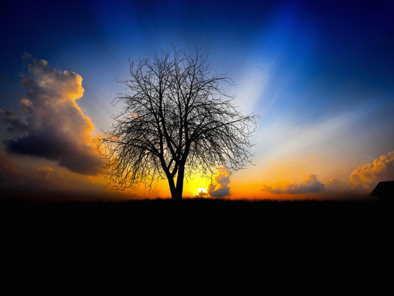 Morning Scenery Wallpapers - Top Free Morning Scenery Backgrounds ...