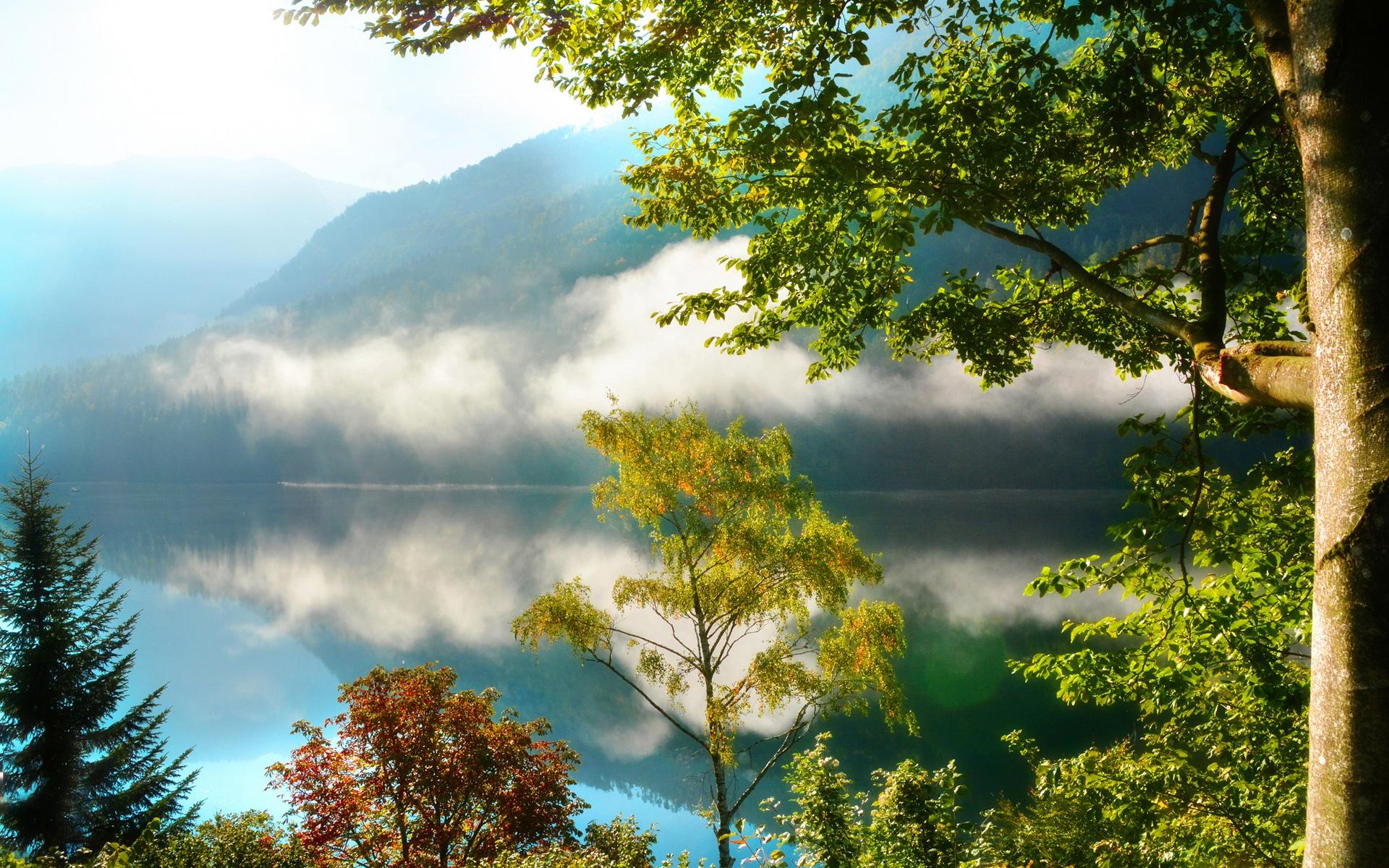 Morning Scenery Wallpapers - Top Free Morning Scenery Backgrounds ...