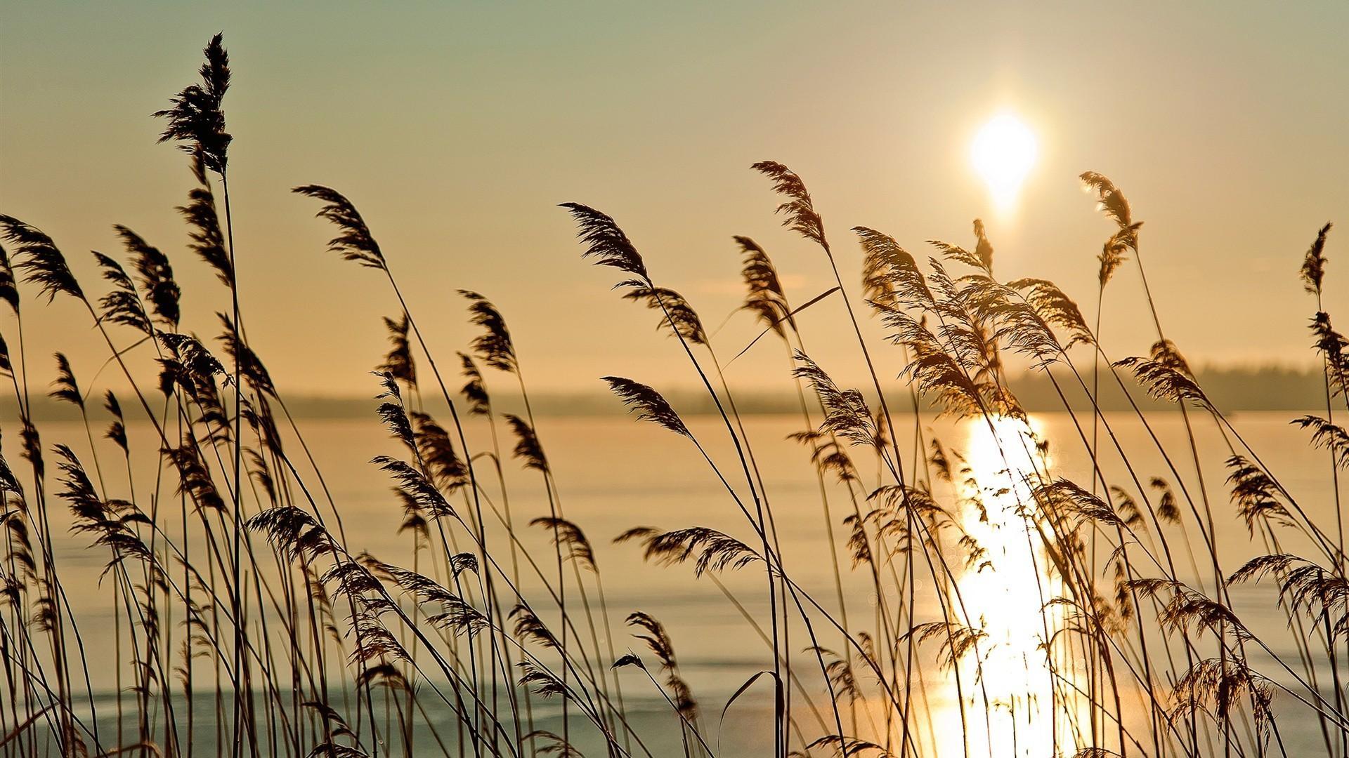 Morning Scenery Wallpapers - Top Free Morning Scenery Backgrounds ...