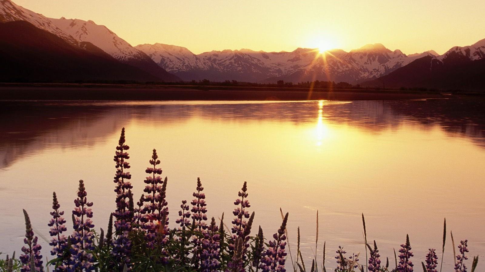 Morning Scenery Wallpapers - Top Free Morning Scenery Backgrounds ...