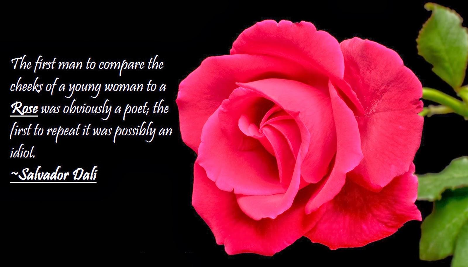 Rose Quotes Wallpapers - Top Free Rose Quotes Backgrounds - WallpaperAccess