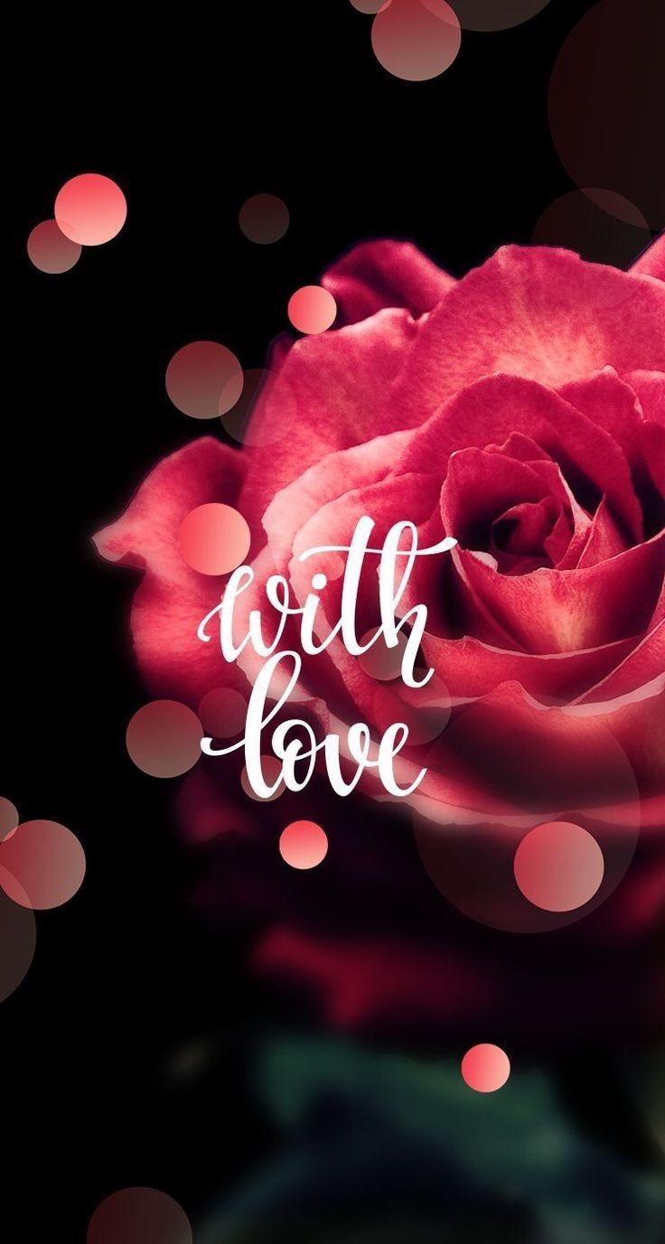 Rose Quotes Wallpapers - Top Free Rose Quotes Backgrounds - WallpaperAccess