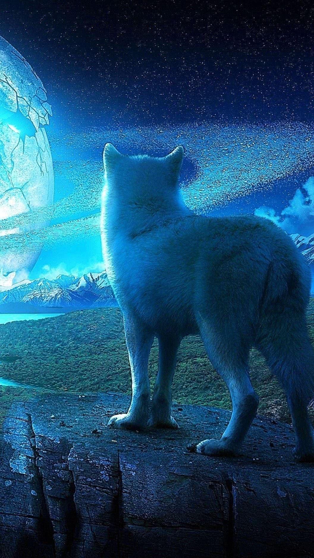 Ice Fox Wallpapers - Top Free Ice Fox Backgrounds - WallpaperAccess