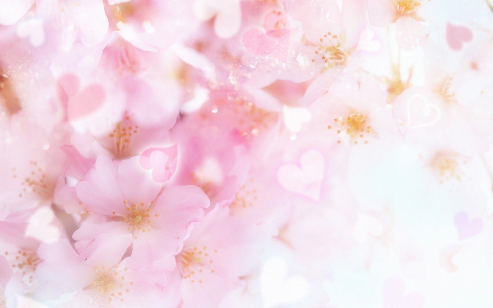 Pink Beauty Wallpapers - Top Free Pink Beauty Backgrounds - WallpaperAccess