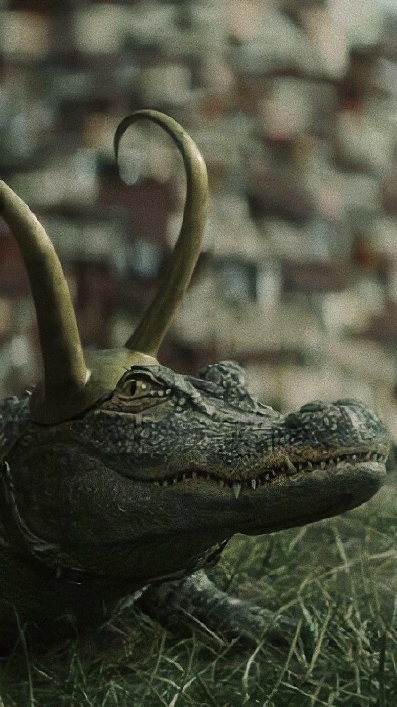 Alligator Loki Wallpapers - Top Free Alligator Loki Backgrounds ...