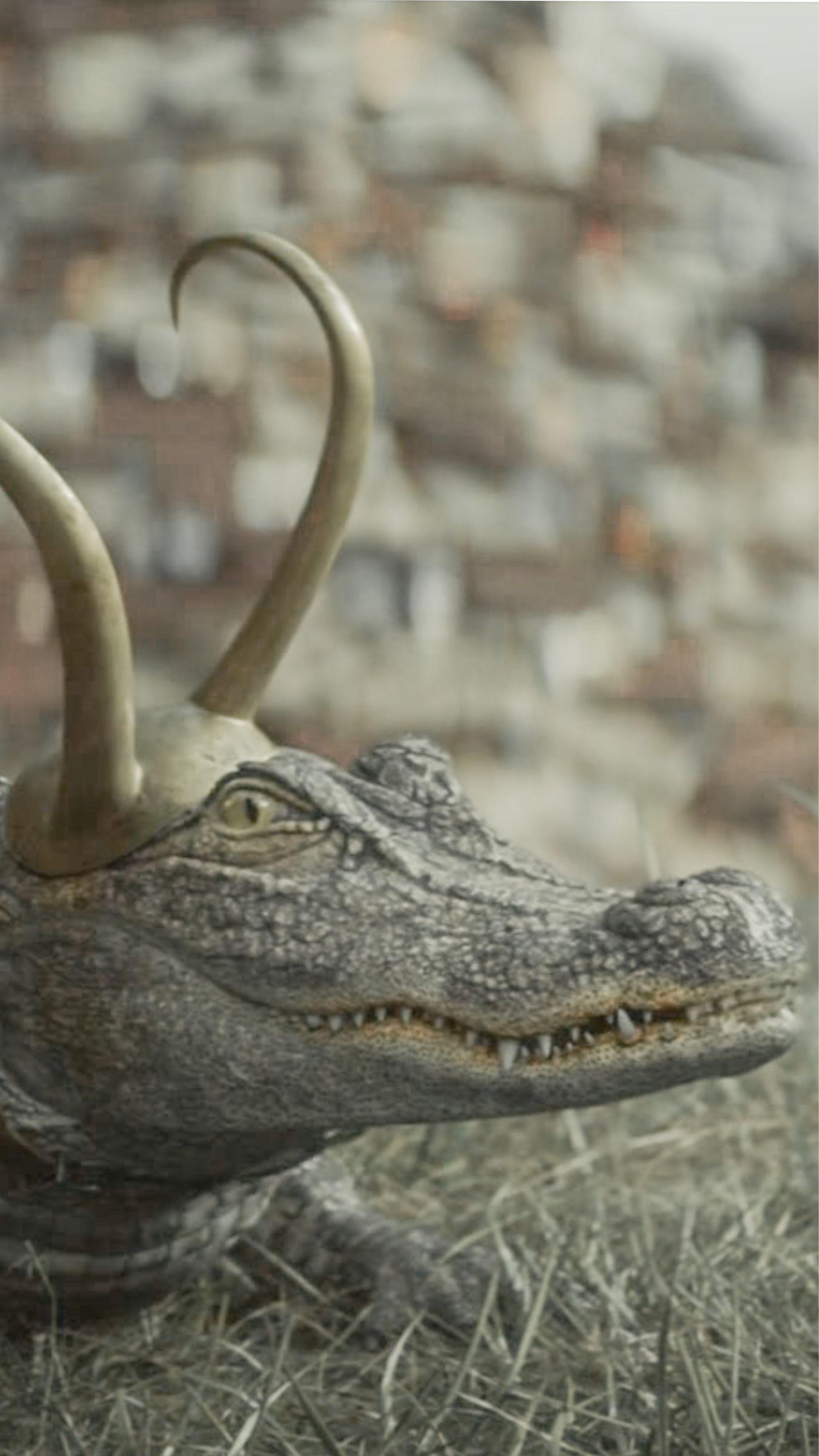 Alligator Loki Wallpapers - Top Free Alligator Loki Backgrounds ...
