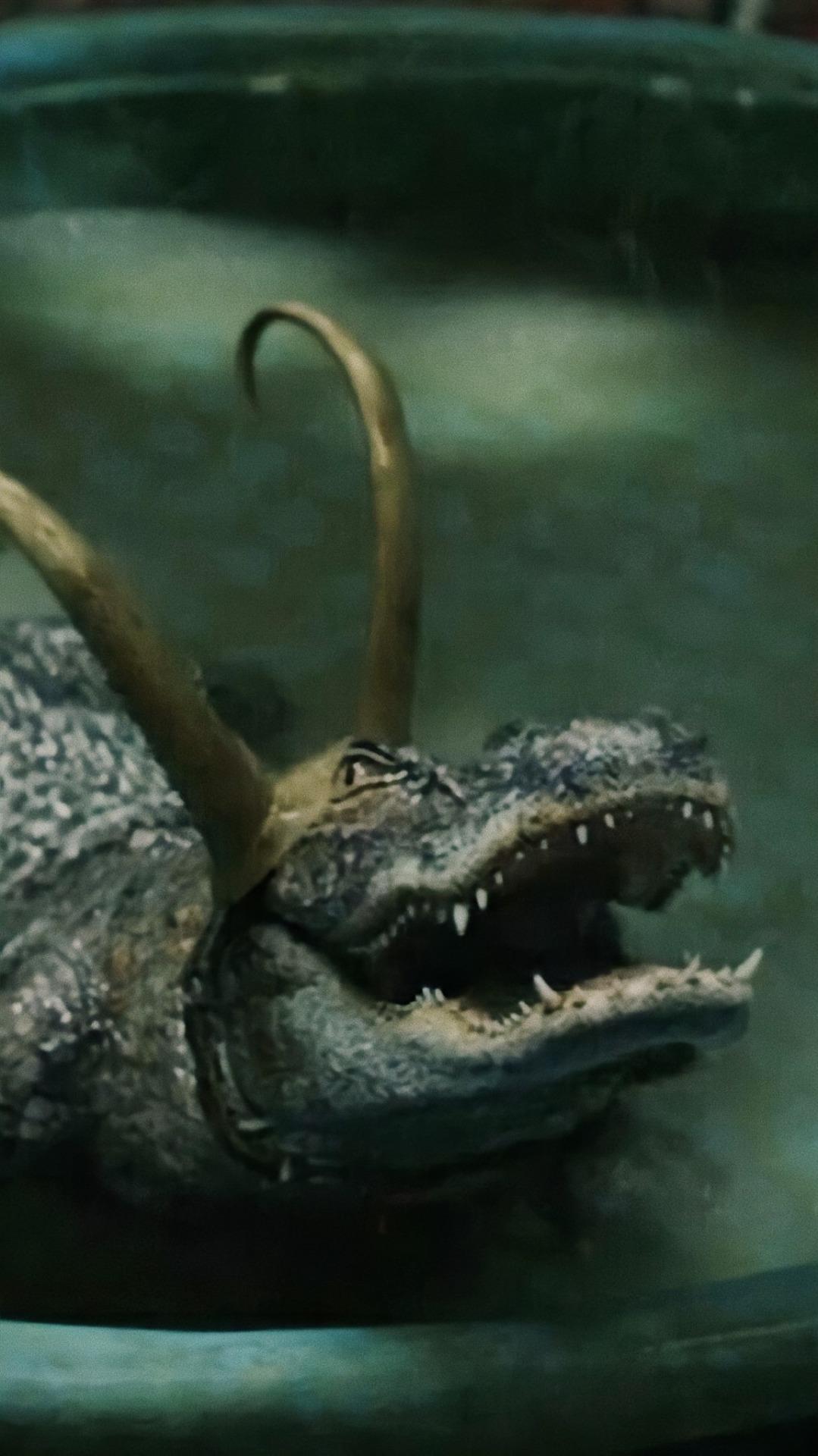 Alligator Loki Wallpapers - Top Free Alligator Loki Backgrounds ...