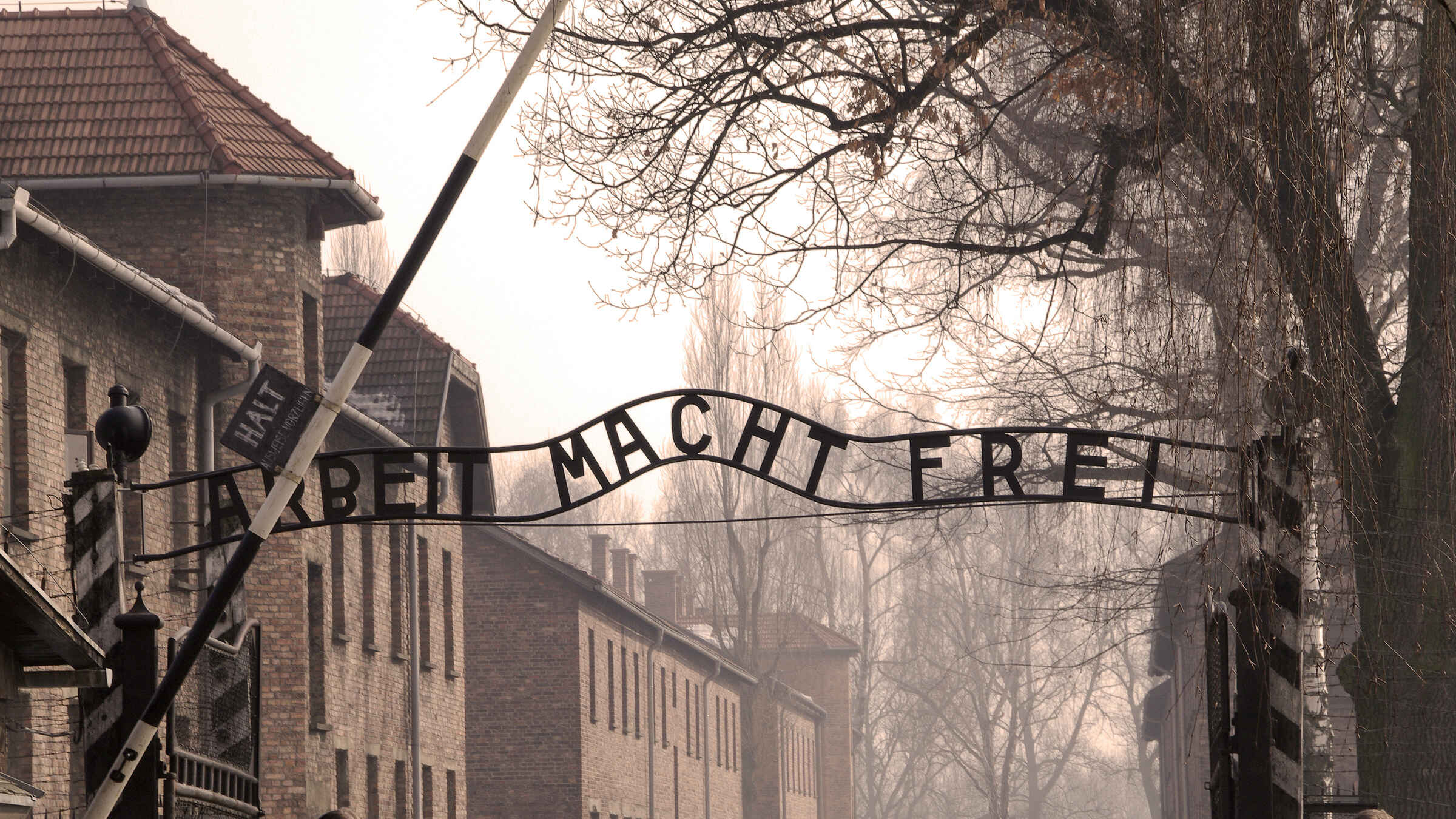 Auschwitz Wallpapers - Top Free Auschwitz Backgrounds - WallpaperAccess
