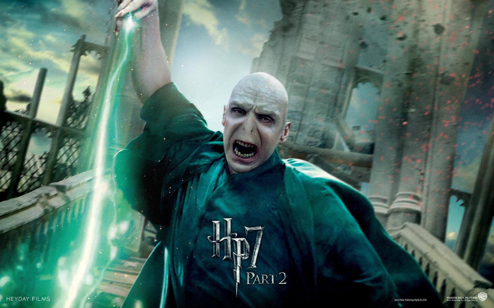 Harry Potter and Voldemort Wallpapers - Top Free Harry Potter and ...