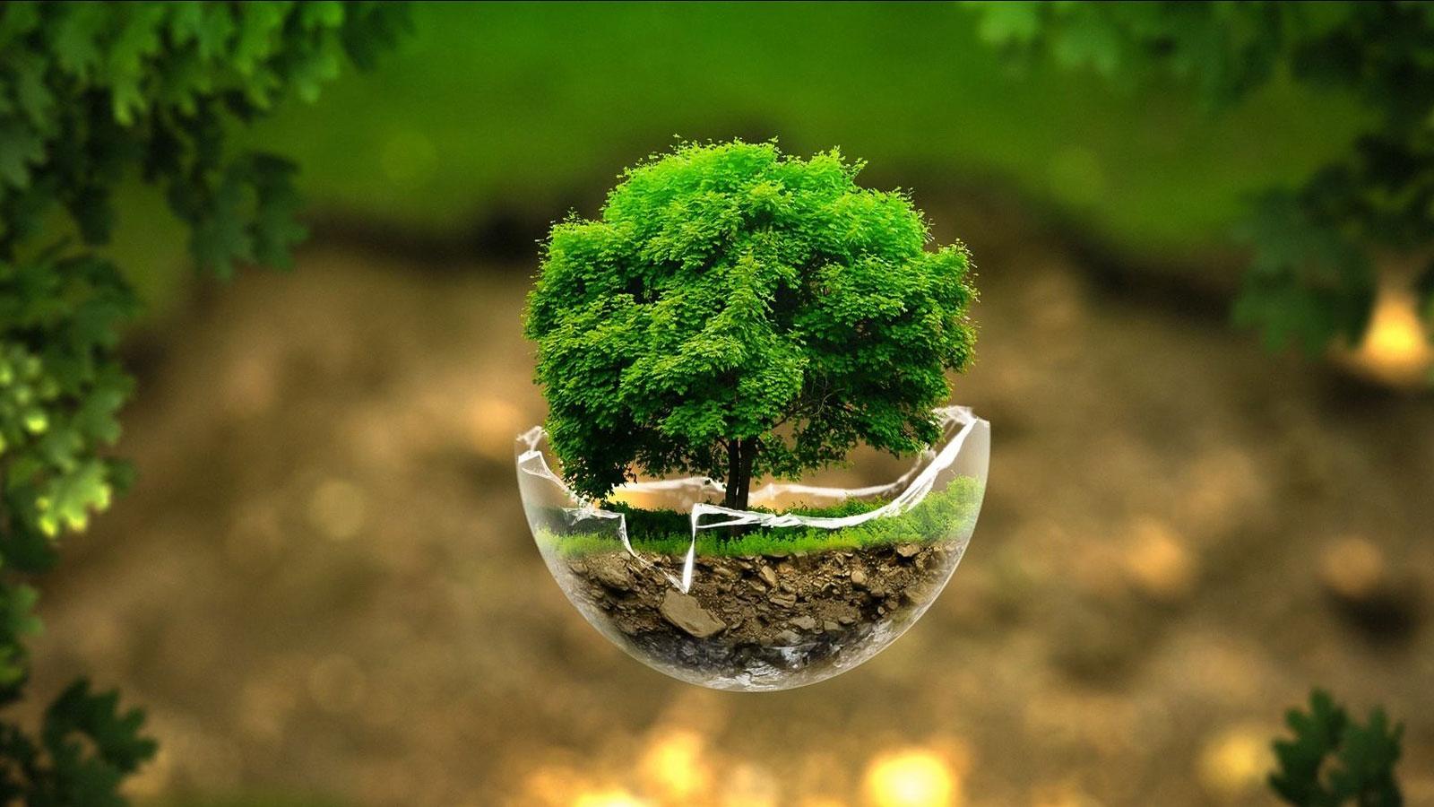 Waste Management Wallpapers - Top Free Waste Management Backgrounds ...