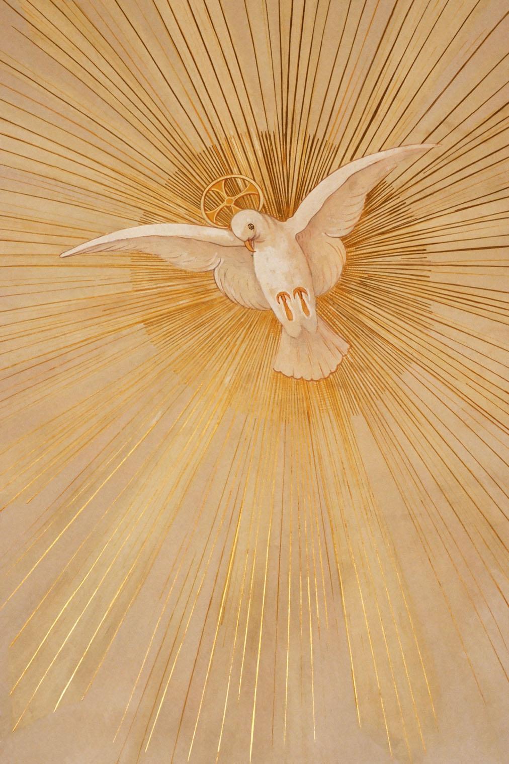 Confirmation Wallpapers - Top Free Confirmation Backgrounds ...