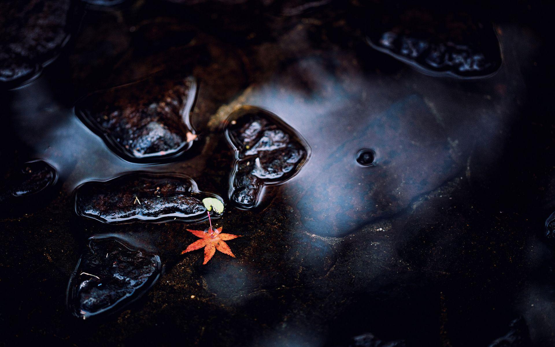 Zen Light Wallpapers - Top Free Zen Light Backgrounds - WallpaperAccess