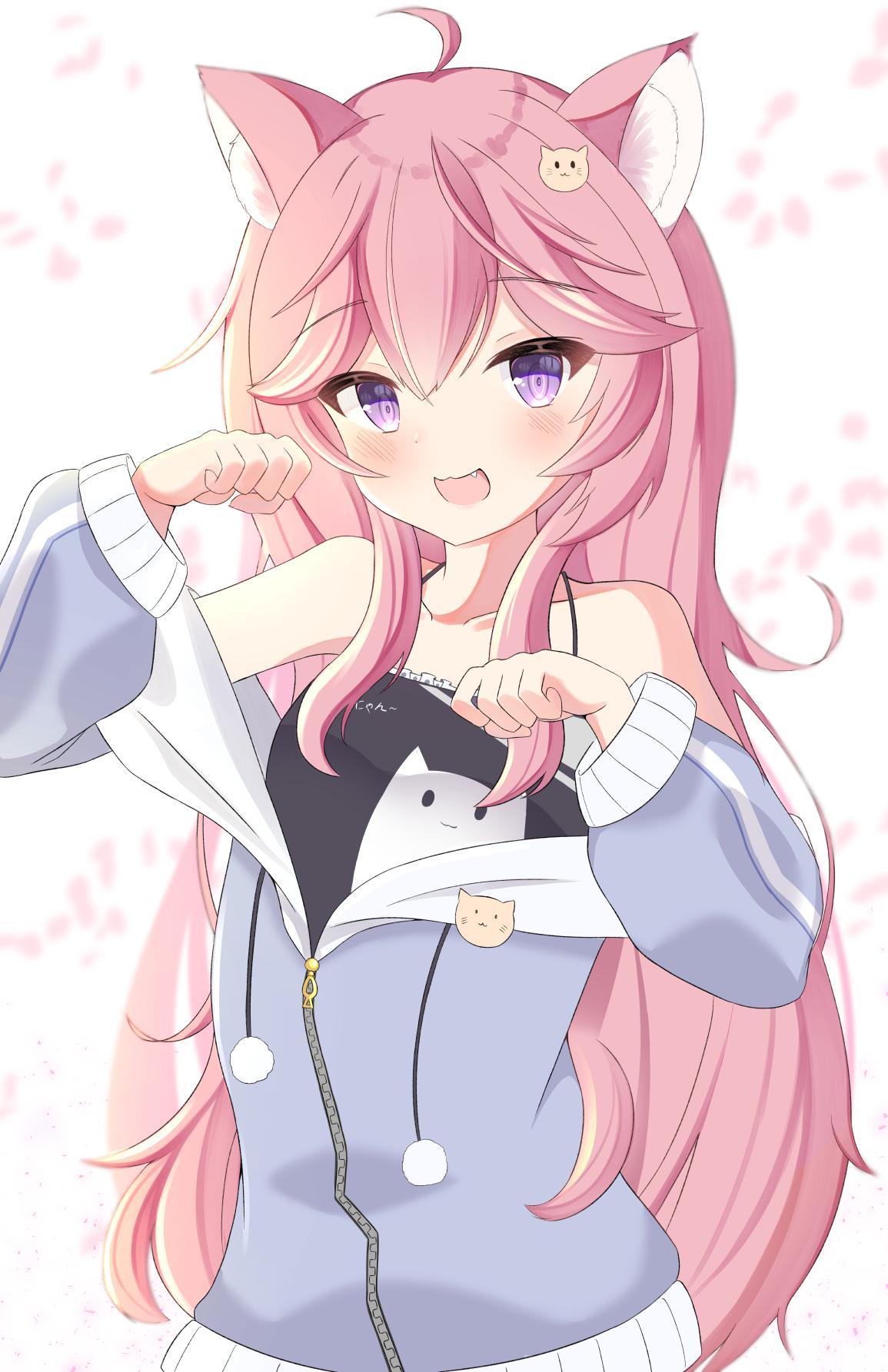 Nyanners Wallpapers - Top Free Nyanners Backgrounds - WallpaperAccess