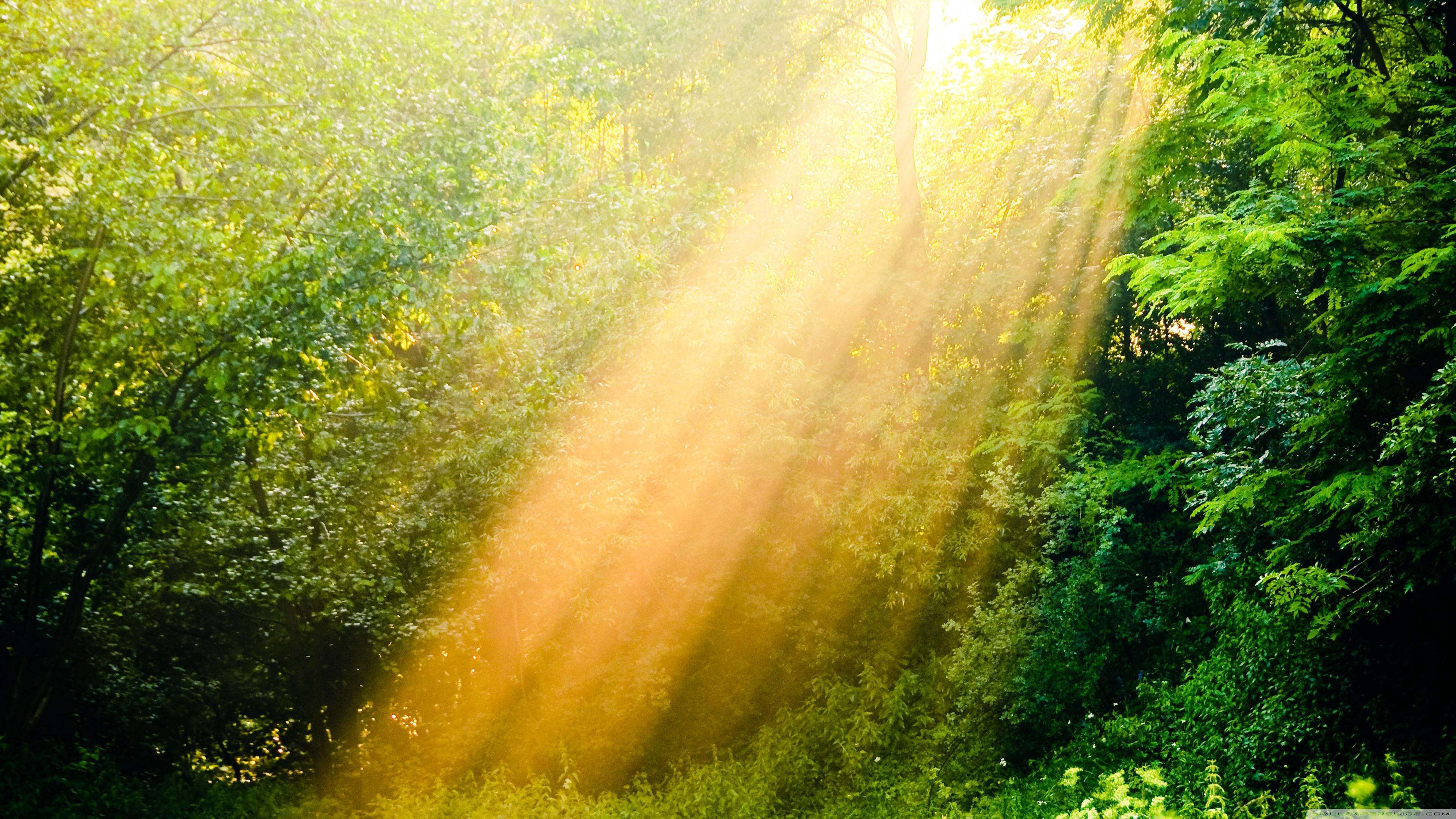 Ray of Light Wallpapers - Top Free Ray of Light Backgrounds ...