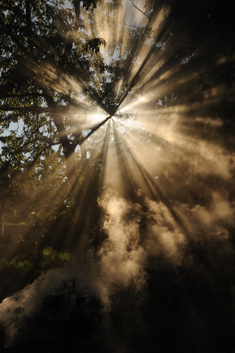 Light Rays Wallpapers - Top Free Light Rays Backgrounds - WallpaperAccess