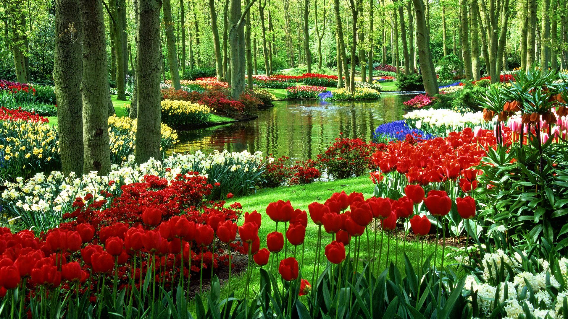 Gardener Wallpapers - Top Free Gardener Backgrounds - WallpaperAccess