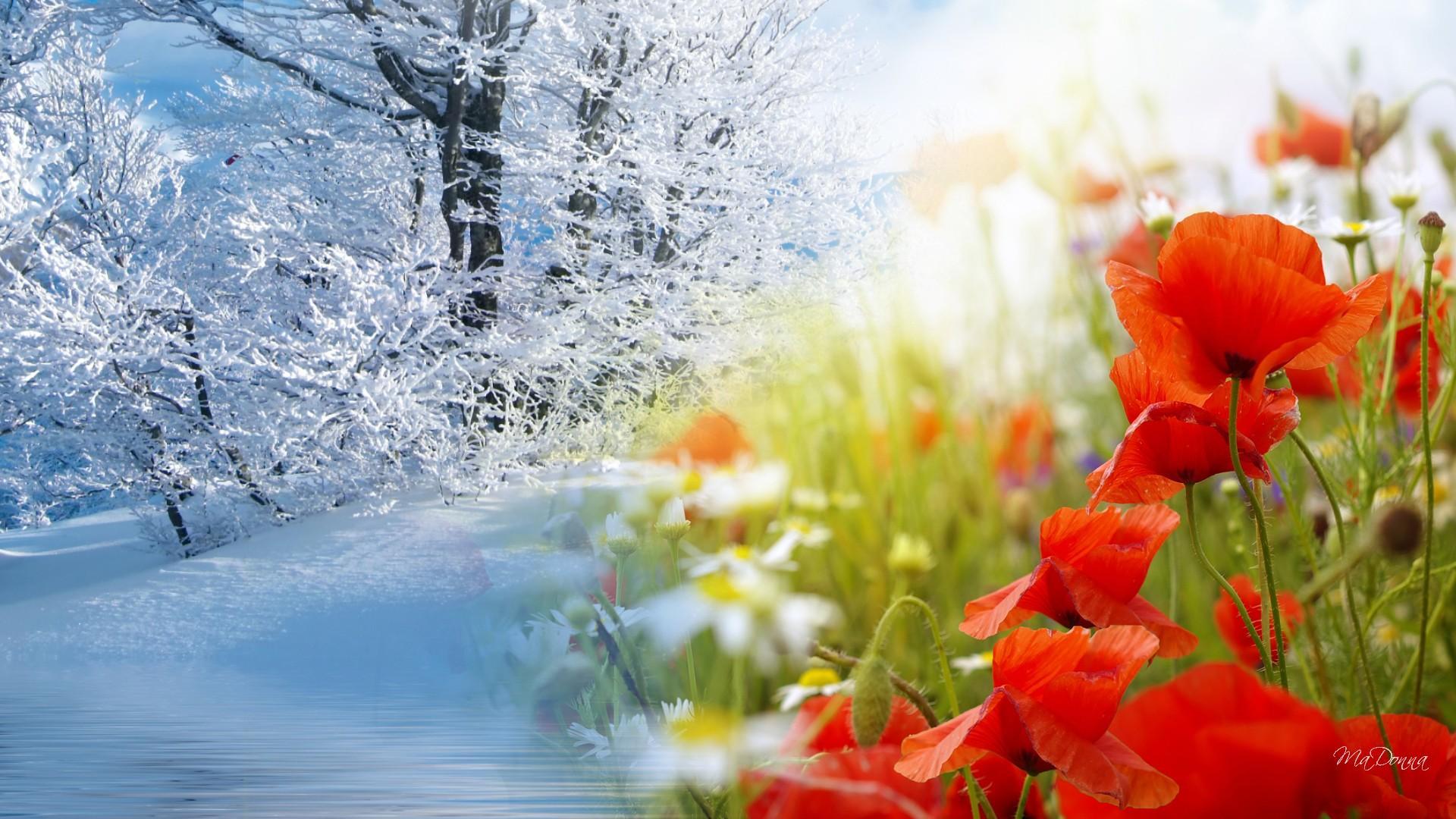 Winter Spring Wallpapers - Top Free Winter Spring Backgrounds ...