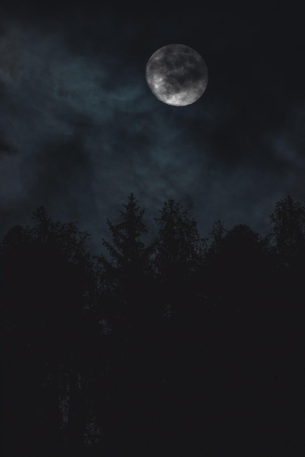 Scary Shadows Wallpapers - Top Free Scary Shadows Backgrounds ...