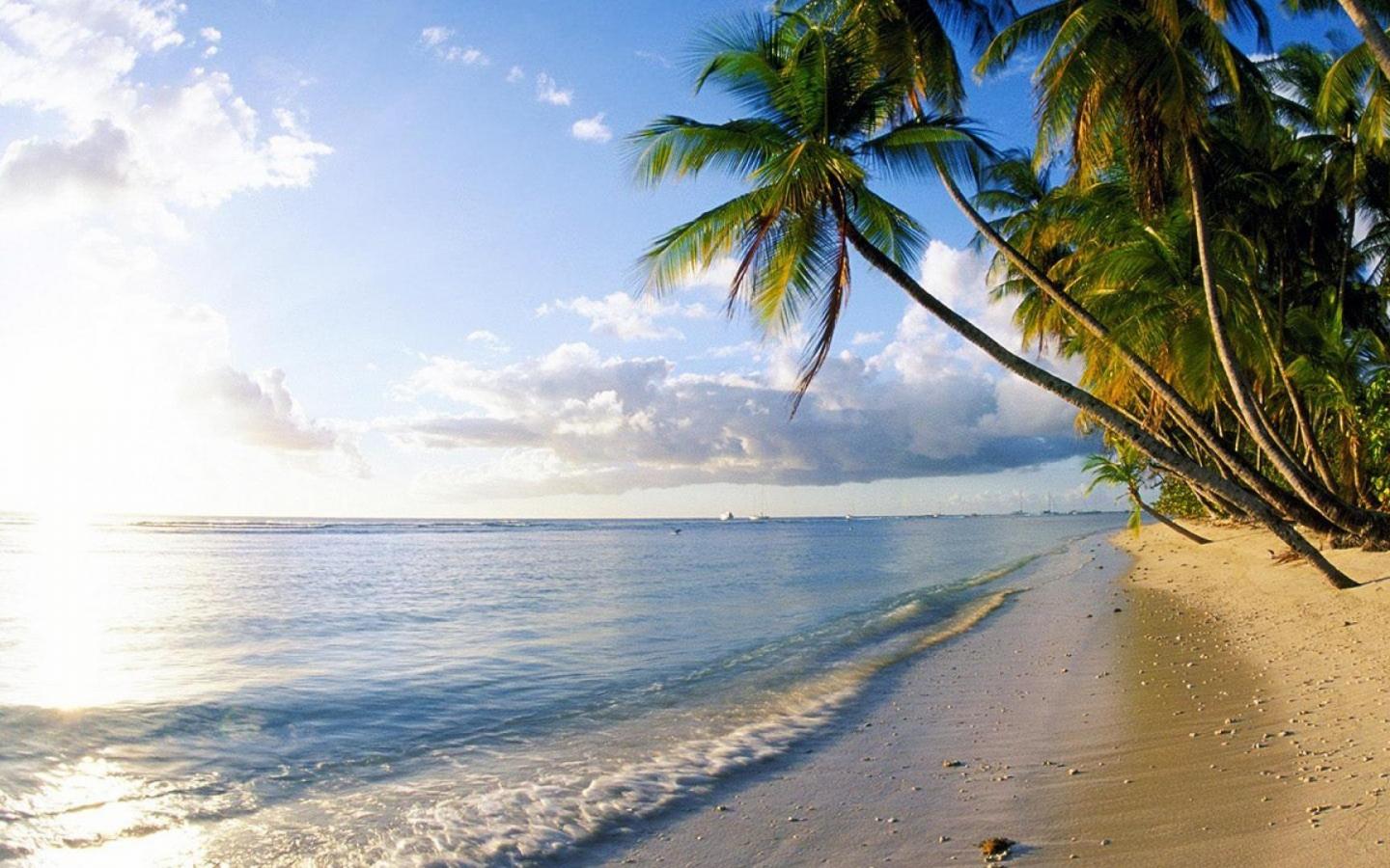 Beige Beach Wallpapers - Top Free Beige Beach Backgrounds - WallpaperAccess