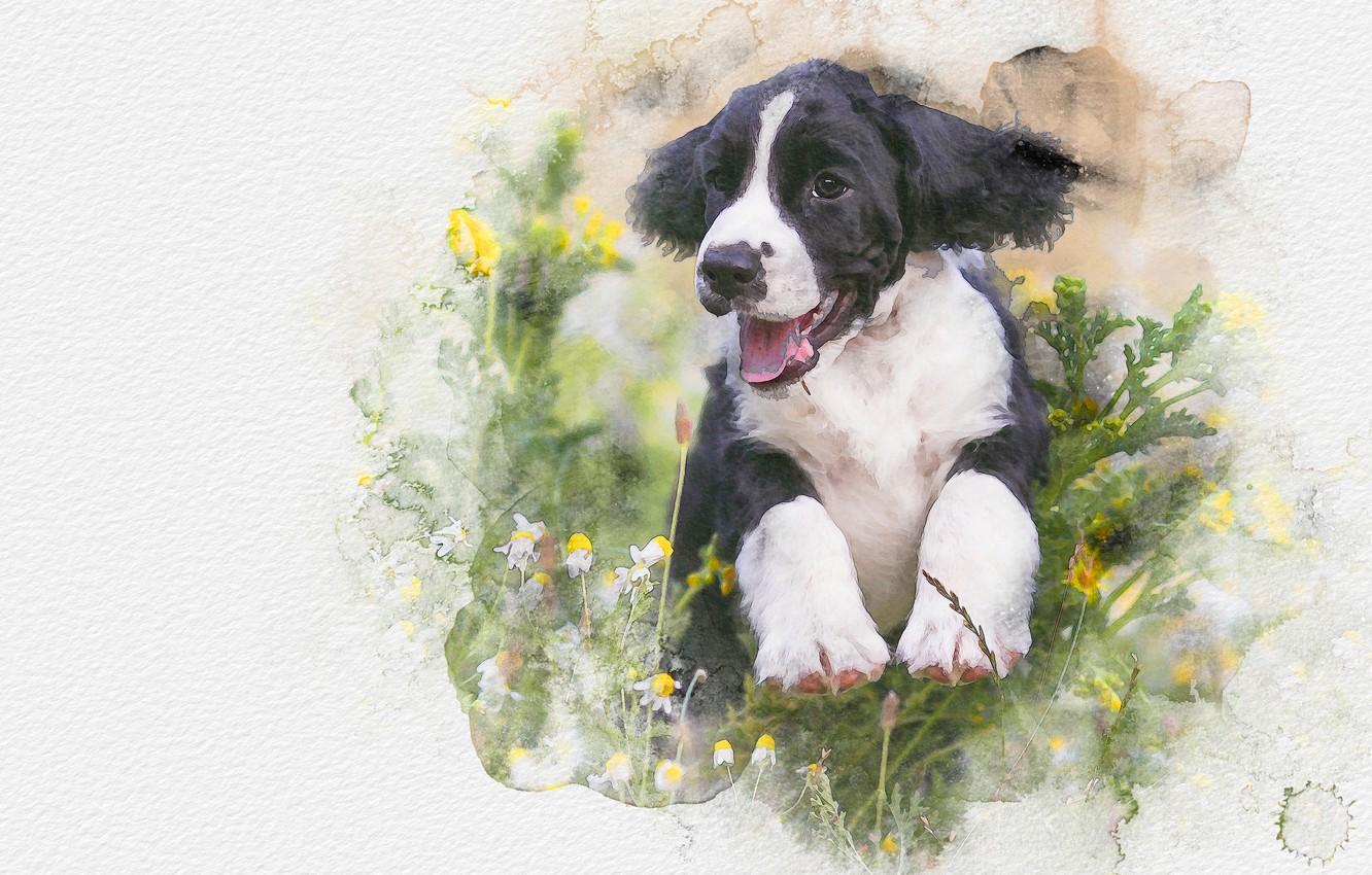 Watercolor Dog Wallpapers - Top Free Watercolor Dog Backgrounds ...