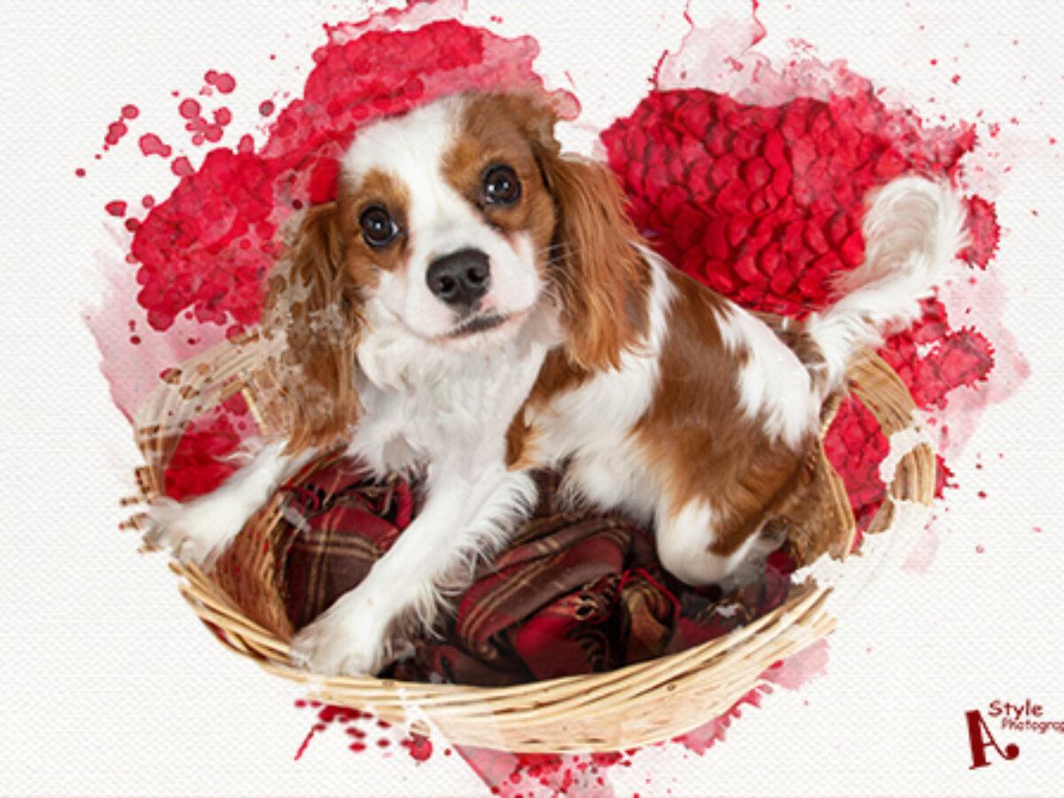 Watercolor Dog Wallpapers - Top Free Watercolor Dog Backgrounds ...