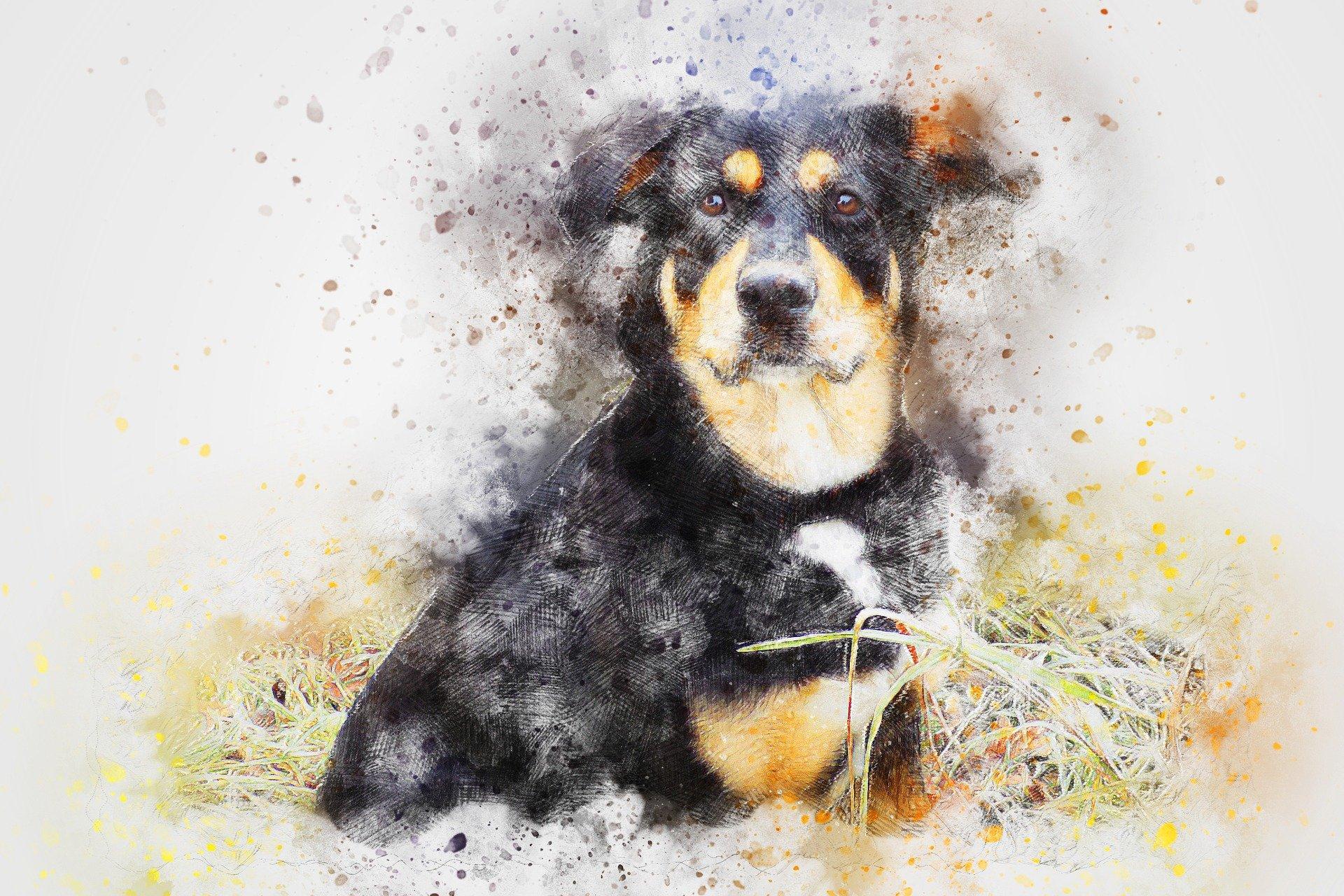 Watercolor Dog Wallpapers - Top Free Watercolor Dog Backgrounds ...