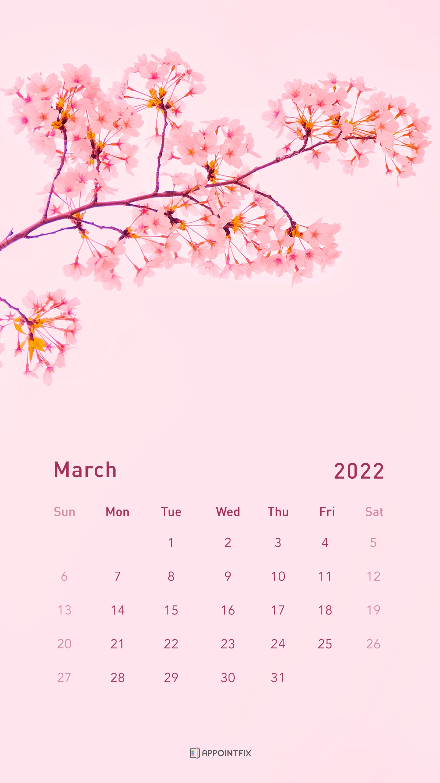 March 2022 Calendar Wallpapers - Top Free March 2022 Calendar ...