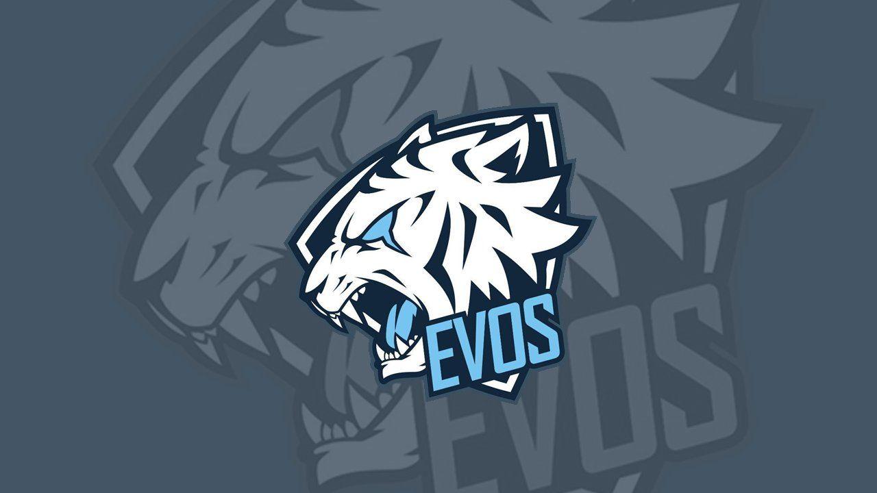 EVOS Esports Wallpapers - Top Free EVOS Esports Backgrounds ...