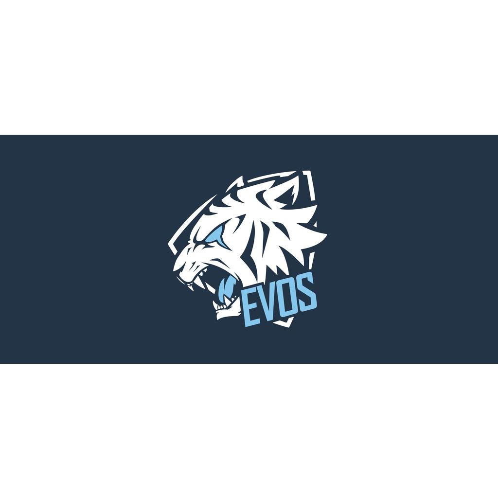 EVOS Esports Wallpapers - Top Free EVOS Esports Backgrounds ...