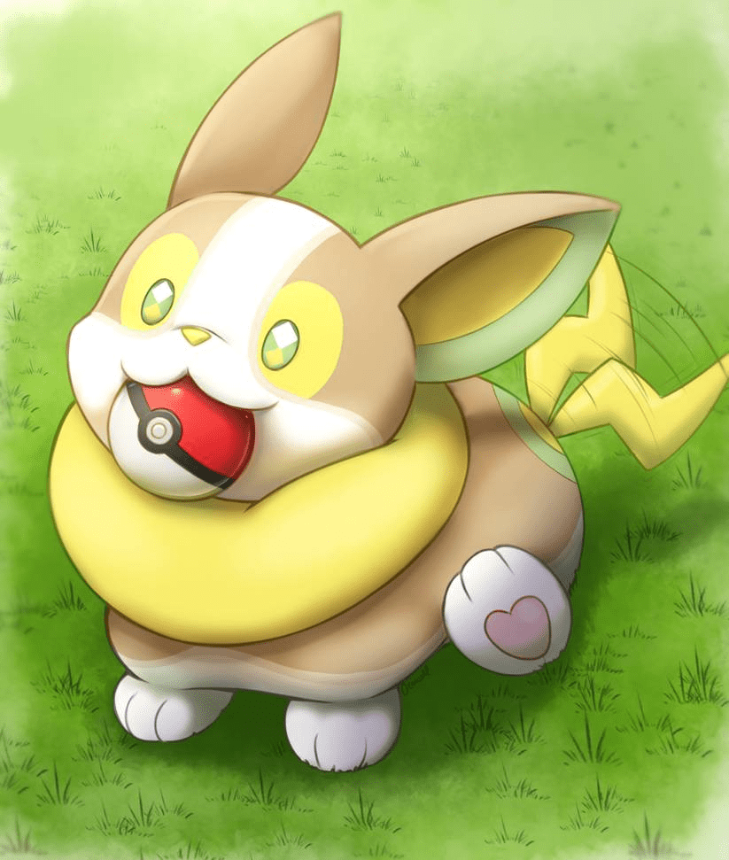 Yamper Wallpapers - Top Free Yamper Backgrounds - WallpaperAccess