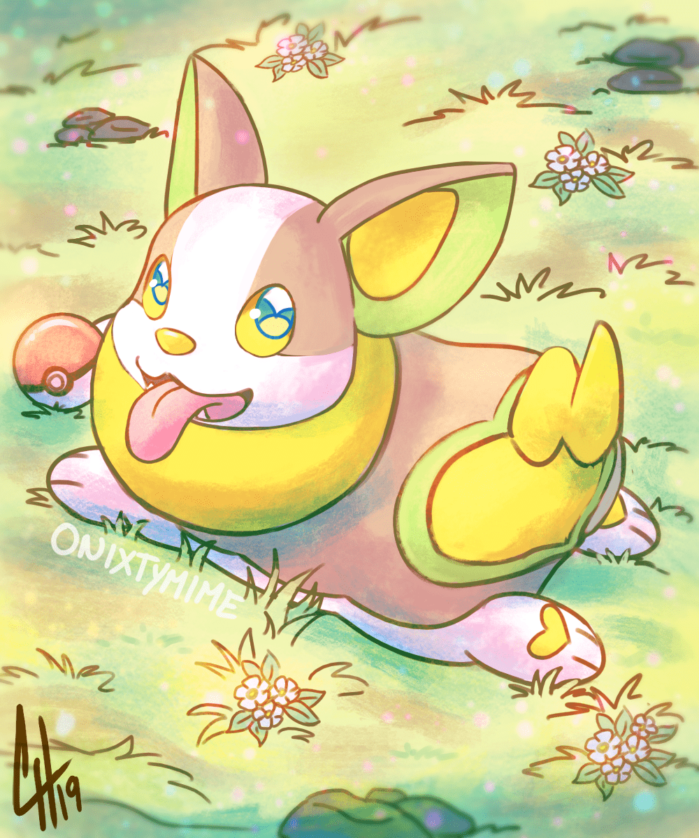 Yamper Wallpapers - Top Free Yamper Backgrounds - WallpaperAccess