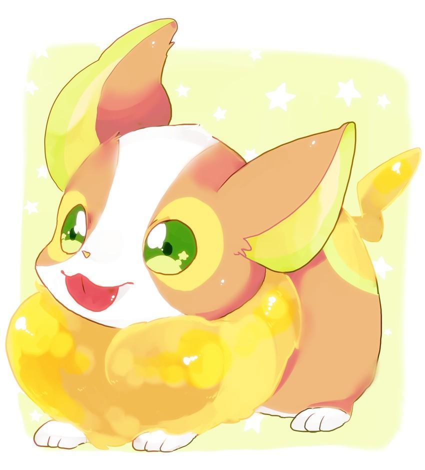 Yamper Wallpapers - Top Free Yamper Backgrounds - WallpaperAccess