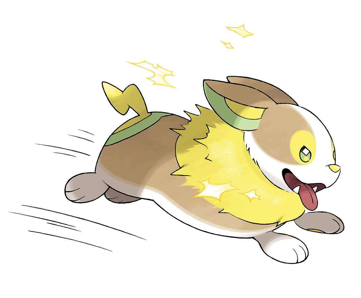 Yamper Wallpapers - Top Free Yamper Backgrounds - WallpaperAccess