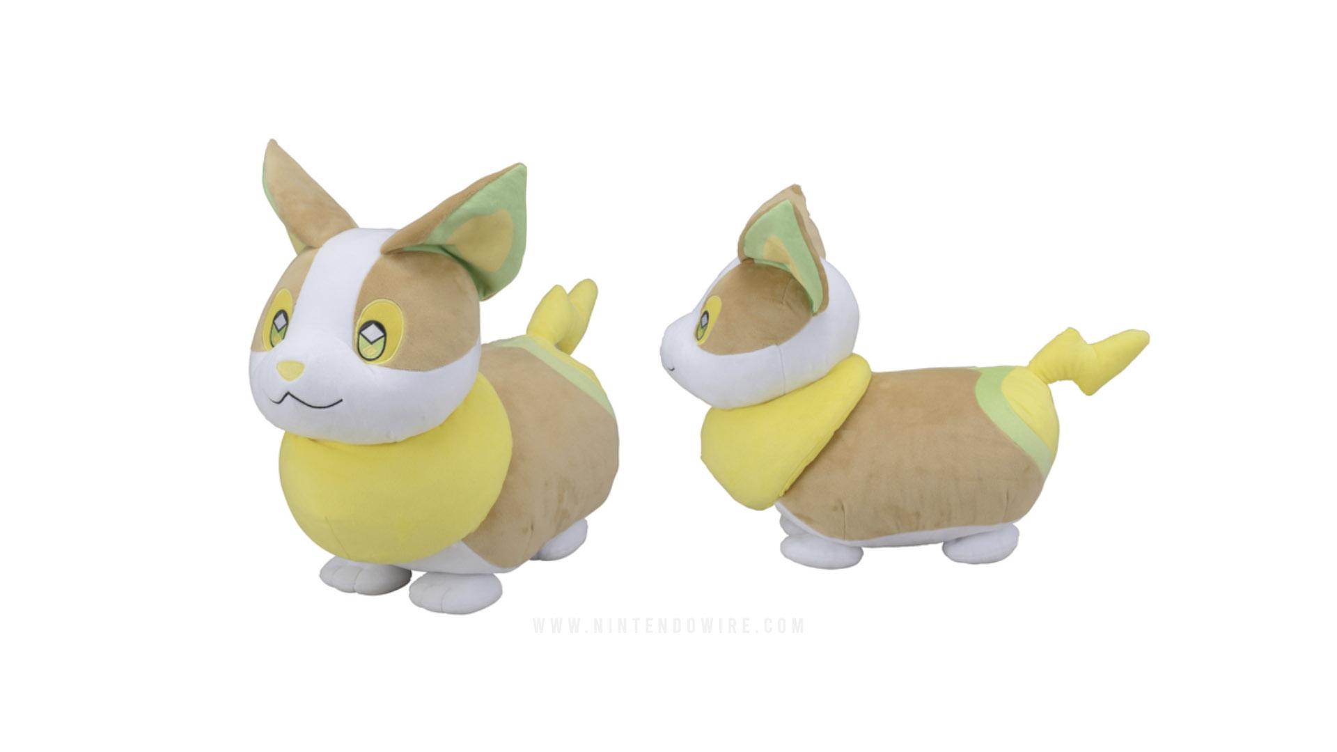 Yamper Wallpapers - Top Free Yamper Backgrounds - WallpaperAccess