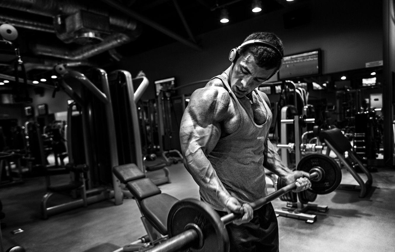 Gym Bodybuilding Wallpapers - Top Free Gym Bodybuilding Backgrounds ...