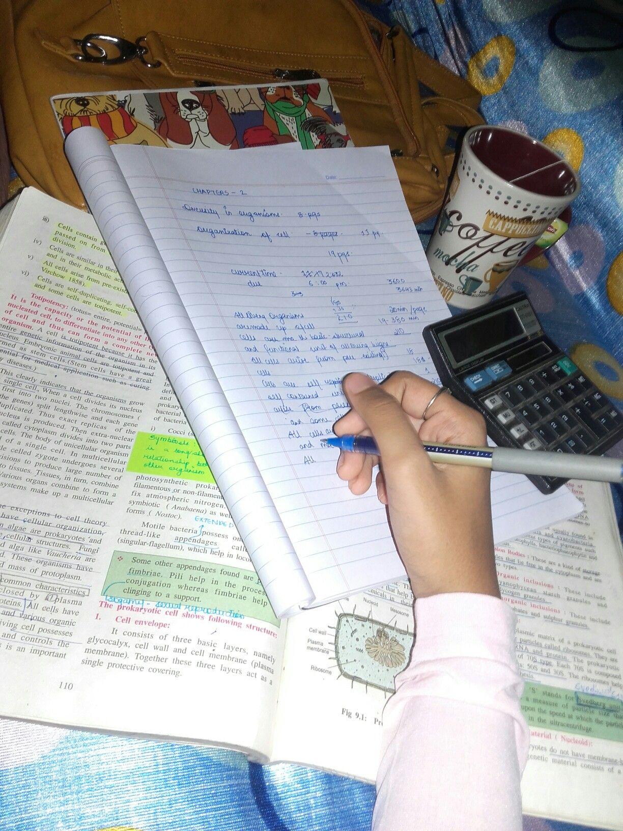 Late Night Study Wallpapers - Top Free Late Night Study Backgrounds ...