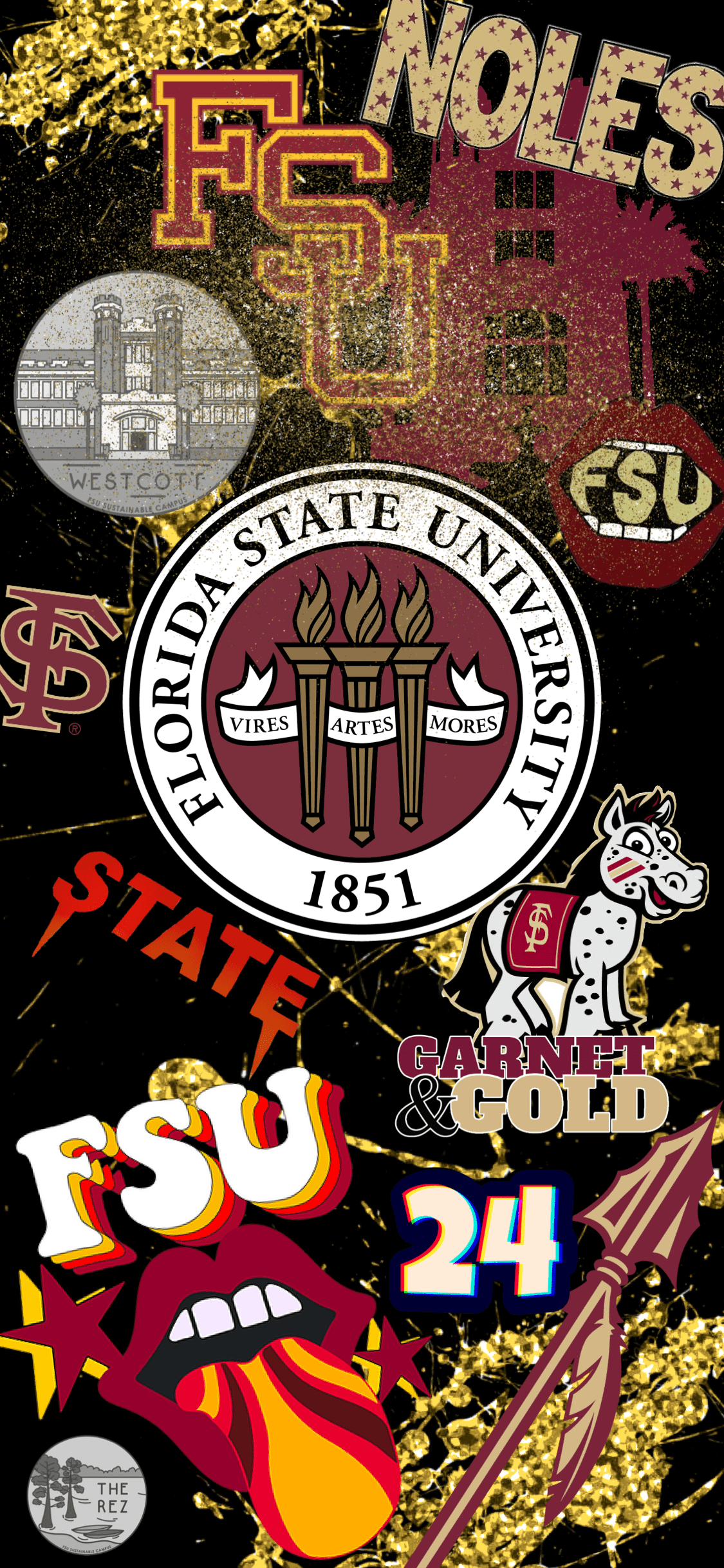 FSU Football Wallpapers - Top Free FSU Football Backgrounds ...