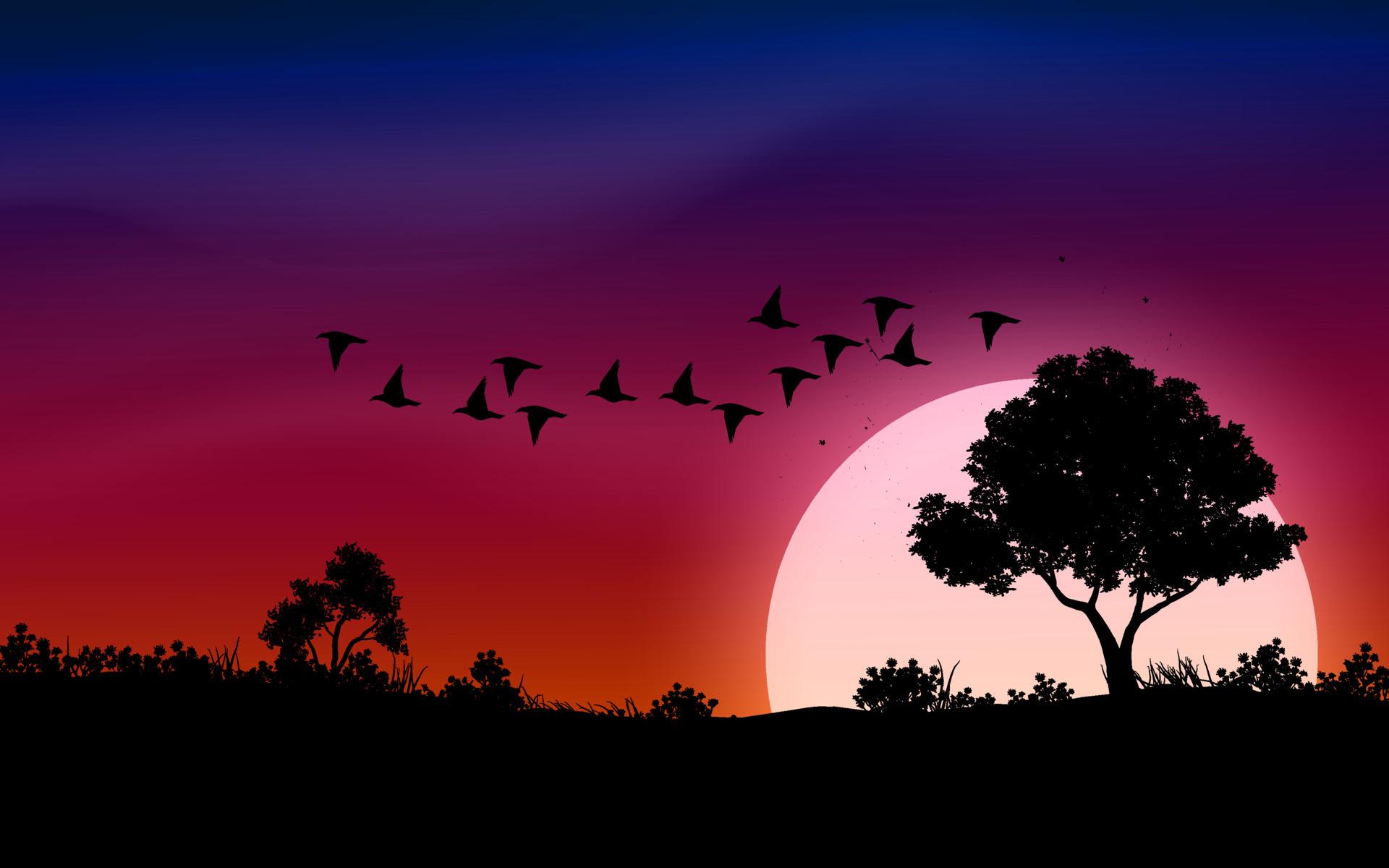Birds and Trees Wallpapers - Top Free Birds and Trees Backgrounds ...